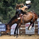 77th Annual Long Beach Rodeo – Peninsula Saddle Club